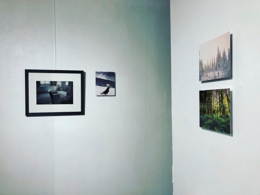 Artists bring new perspectives and perceptions to SFCC - The Communicator